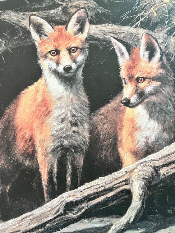 Marcel Moser Litho mit Füchsen Handsig. (Gebraucht) in Hochdorf für CHF 15 – mit Lieferung auf ...