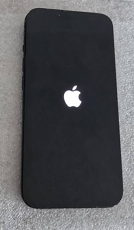 Écran original Apple Super Retina XDR OLED pour iPhone 13 (D'occasion ...