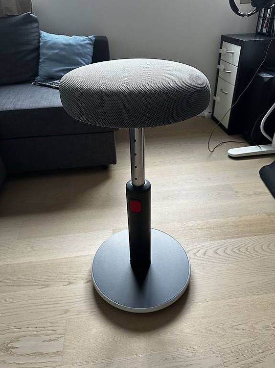 Leitz Active Ergo Cosy Sitz-/Stehhocker Grau (Gebraucht) in ...