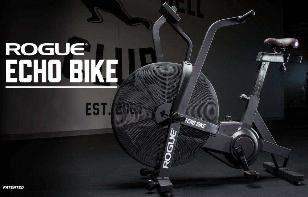 Rogue Echo Bike v2.0 Crossfit / Fitness (Gebraucht) in Meilen für CHF ...