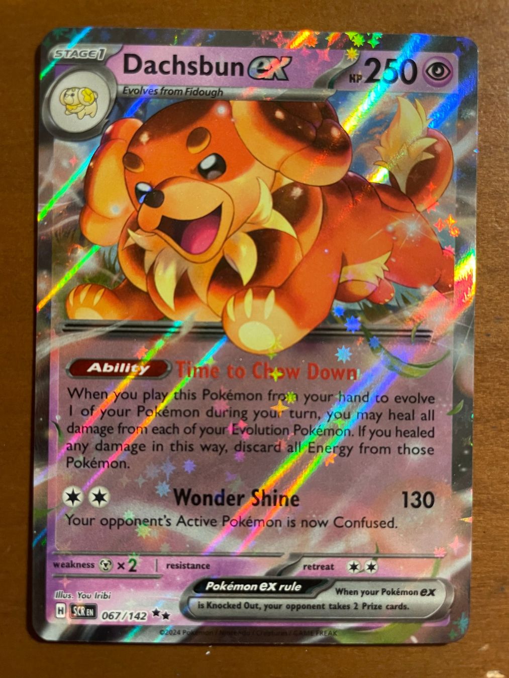 Pokemon Dachsbun eX (Versand gratis) (Neu (gemäss Beschreibung)) in ...