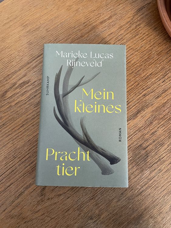 Roman „Mein kleines Prachttier“ - Marieke Lucas Rijneveld | Kaufen auf ...