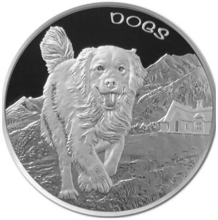 1 oz Silber Münze Fiji Dogs 2022 Erste Ausgabe Premium Münze (Neu und ...
