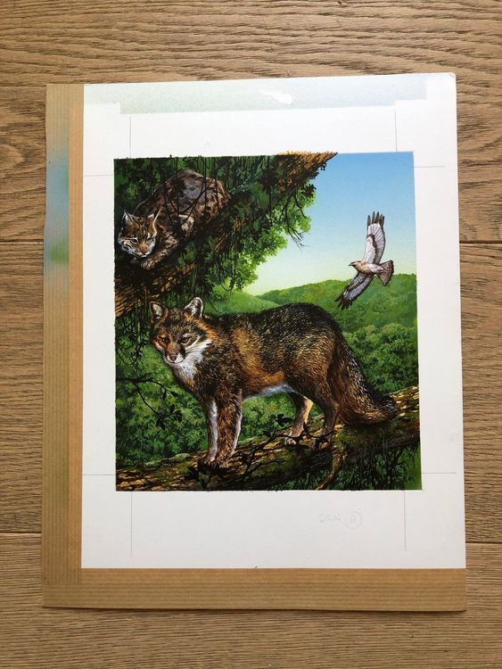 Original Bild Grauer Fuchs und Luchs, handgemalt (Gebraucht) in Versoix ...