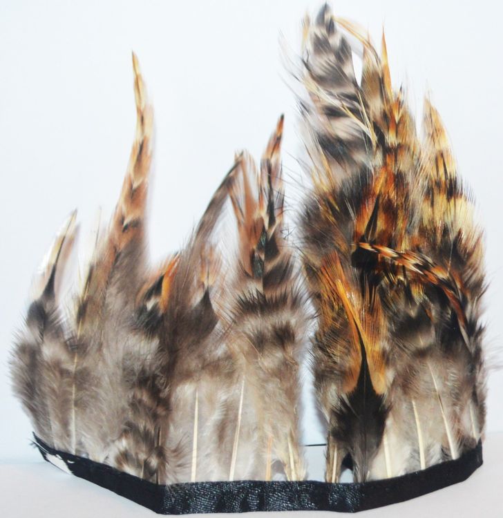 Deko Federn 479 – Band mit Federn – Fasan –Girlande- 1 Meter (Neu und ...