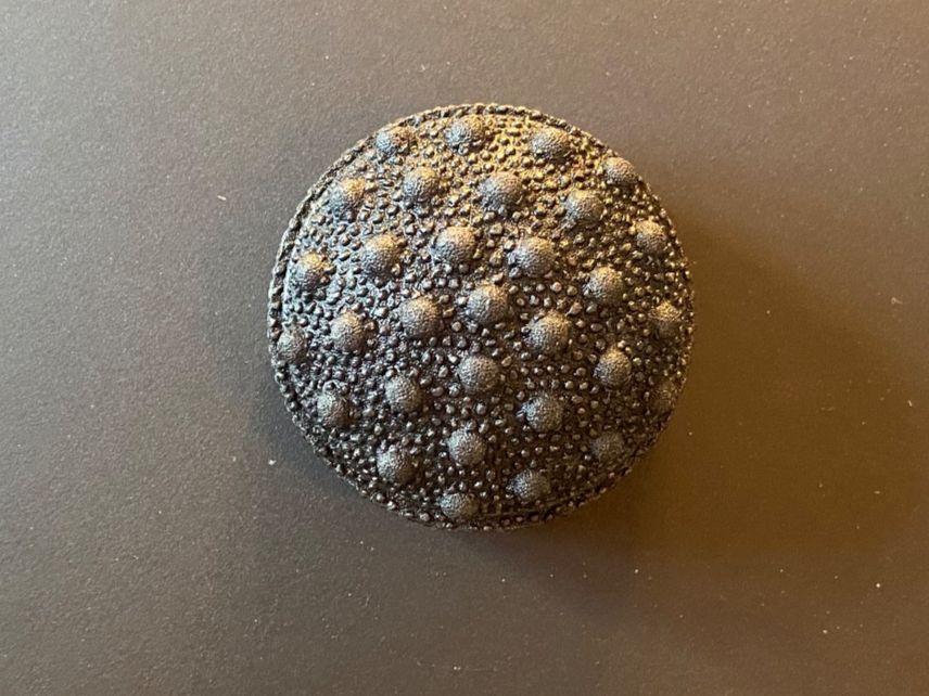 LETZTE CHANCE! BLACKROLL TWISTER für Faszienmassage (Gebraucht) in ...