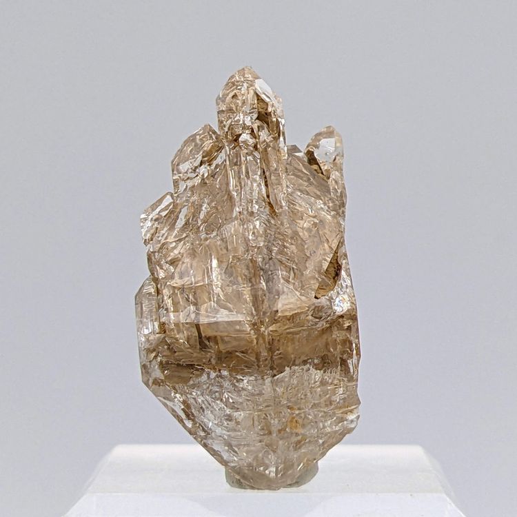 Grosser HERKIMER-HOPPERQUARZ, ZEPTERFORM, mit TON, selten (Neu (gemäss Beschreibung)) in Balerna ...