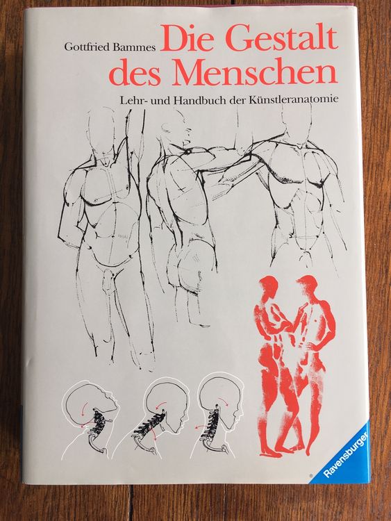 G. Bammes: Die Gestalt des Menschen | Kaufen auf Ricardo