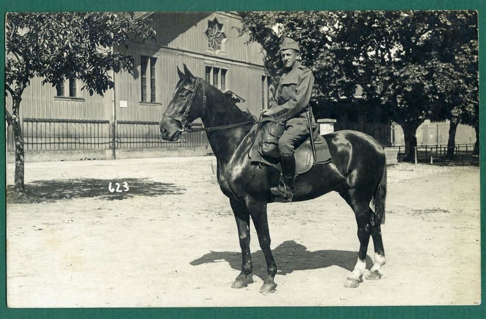 Militaria, Soldat auf Pferd, Feldpost, Walenstadt, 1927 (Gebraucht) in Sargans für CHF 2 – mit ...
