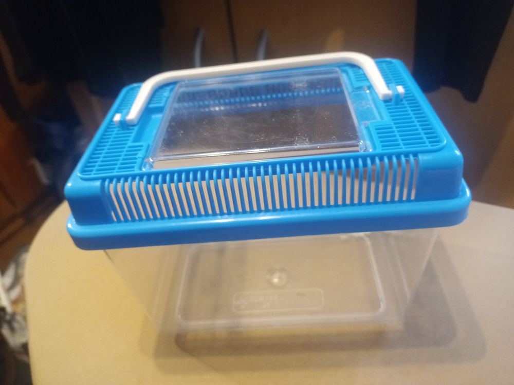 Kleines Terrarium / Transportbox für Reptilien (Gebraucht) in Lyss für ...