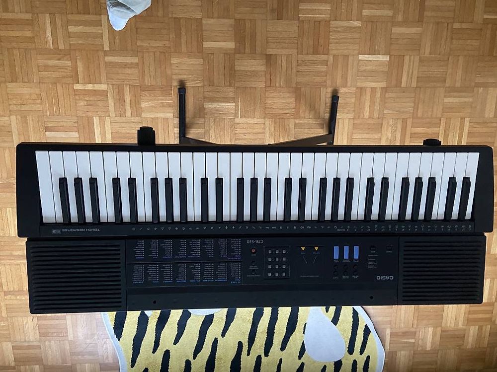 Casio Keyboard CTK-530 inkl. Ständer (Gebraucht) in Basel für CHF 20 ...