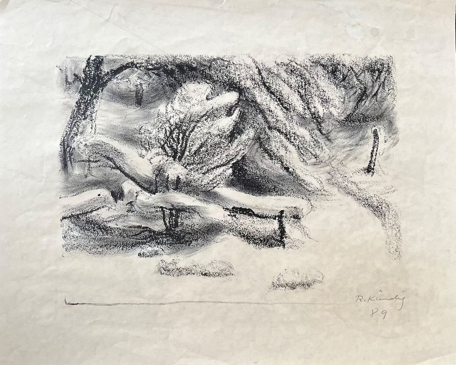 Reinhold Kündig ( 1888-1984) Lithographie Handsigniert (Gebraucht) in Hochdorf für CHF 15 – mit ...