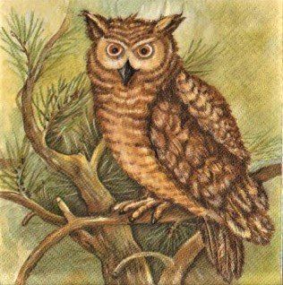 2 Servietten Eule im Ast (Neu (gemäss Beschreibung)) in Basel für CHF 0.6 – mit Lieferung auf ...