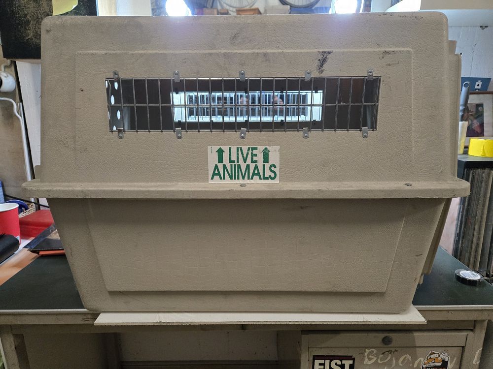 Cage de transport Skykennel pour animaux, solide. (D'occasion) à Le ...