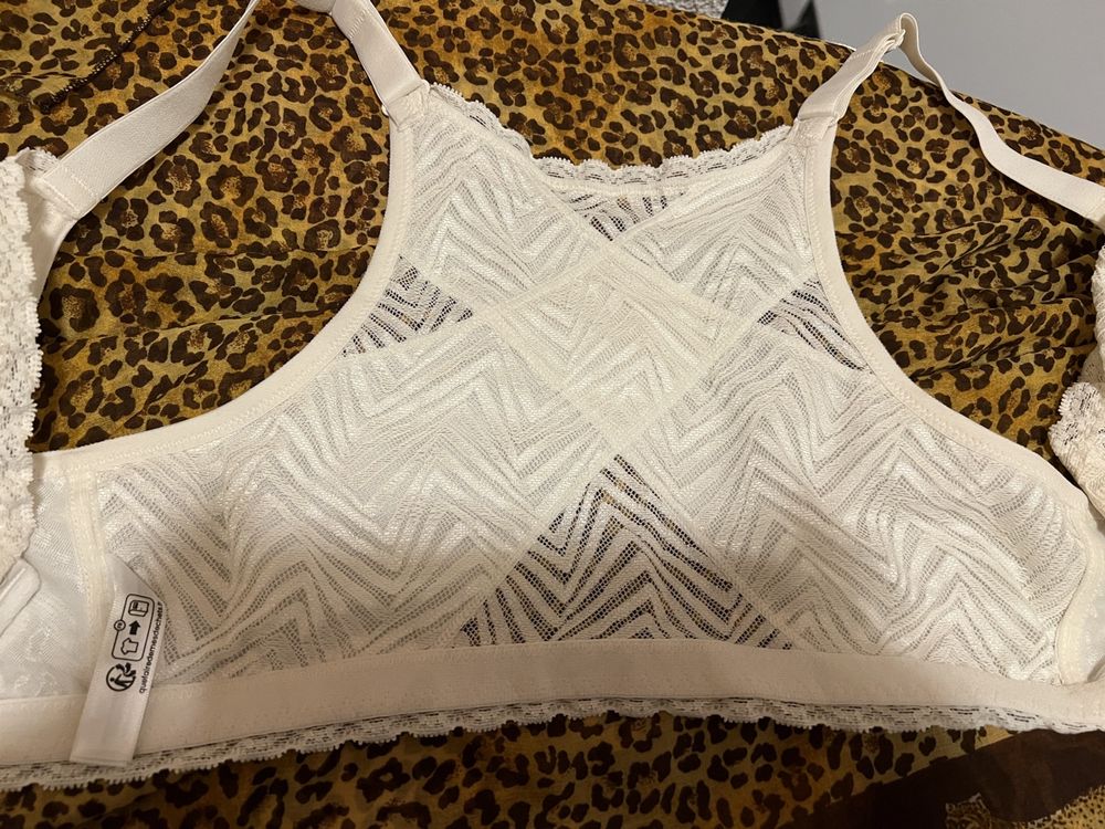 Dessous- Spitzen BH, Gr. 85 C in ChampangerFarbe (Neu (gemäss Beschreibung)) in Bonaduz für CHF ...