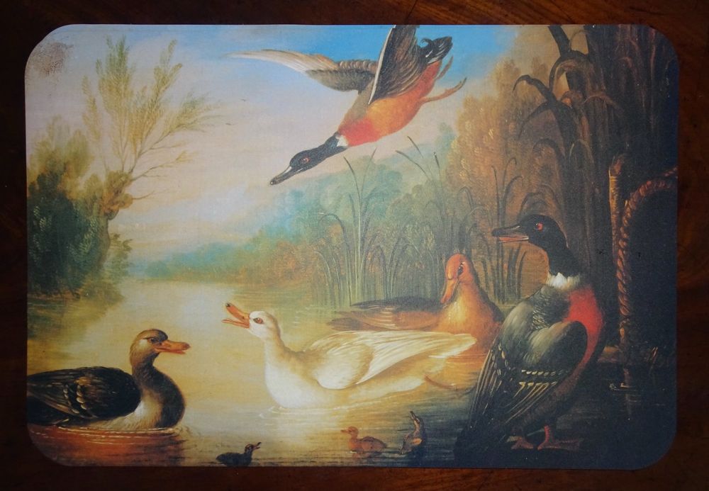 Set de table plastique - Scène de canards sauvages (Neu (gemäss ...