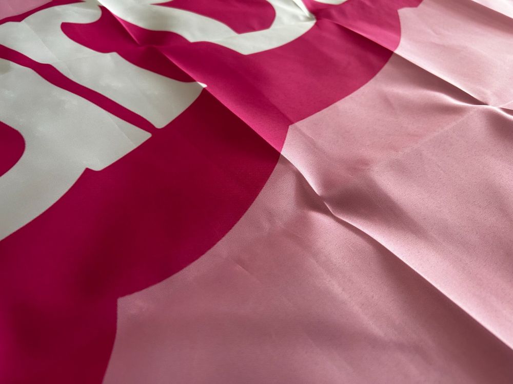 Barbie Fahne Flag Ken Film DVD Puppe Mattel Blond Doll Figur (Neu und ...