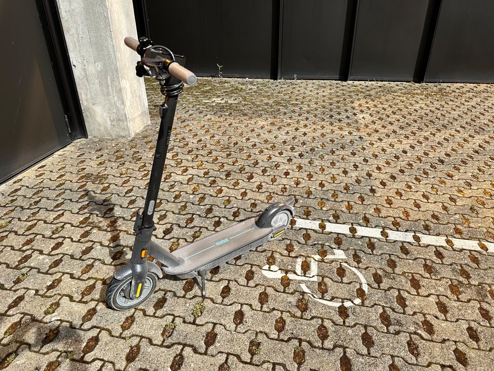 Segway ninebot KickScooter Max G30D (Gebraucht) in Jona für CHF 451 ...