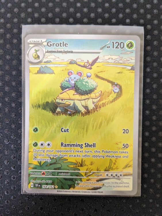 Pokémon Temporal Forces - Grotle 164/162 ( EN ) ab 1Fr!! | Kaufen auf ...