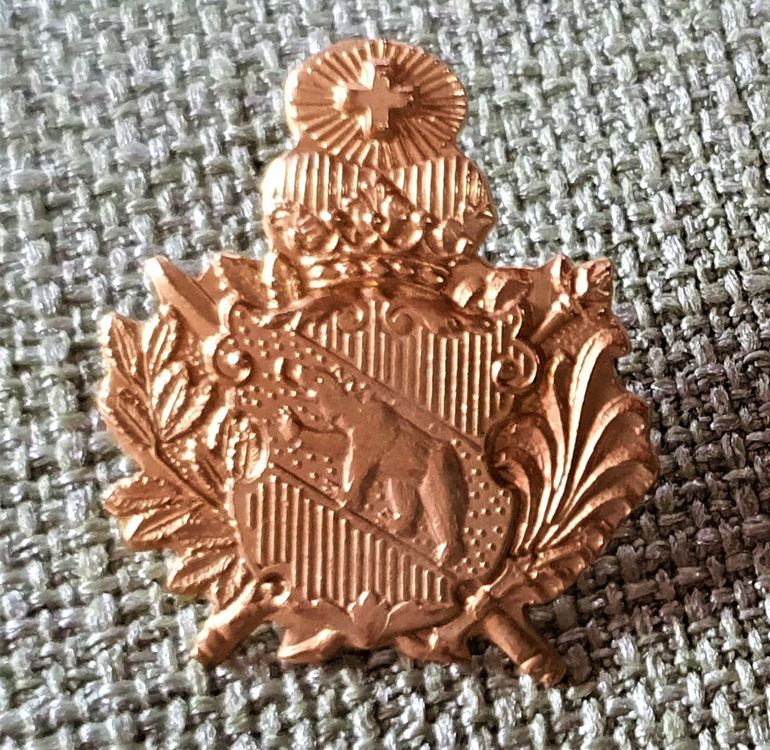 G987 - Goldiger Bern Berner Polizei Pin (Gebraucht) in Reinach BL für ...