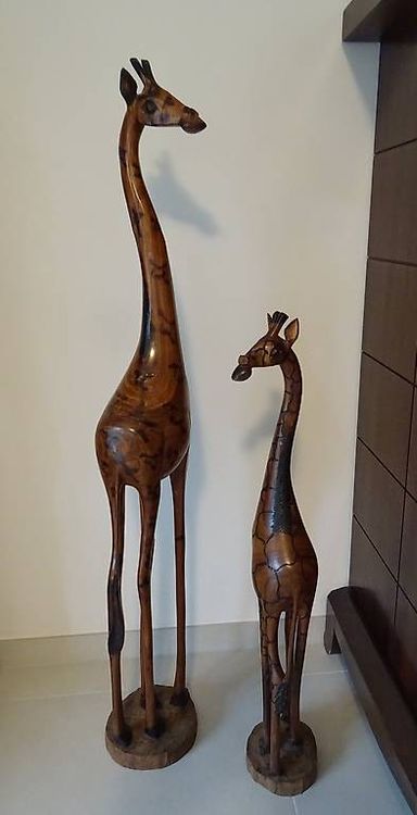 Afrikanische Giraffen | Kaufen auf Ricardo