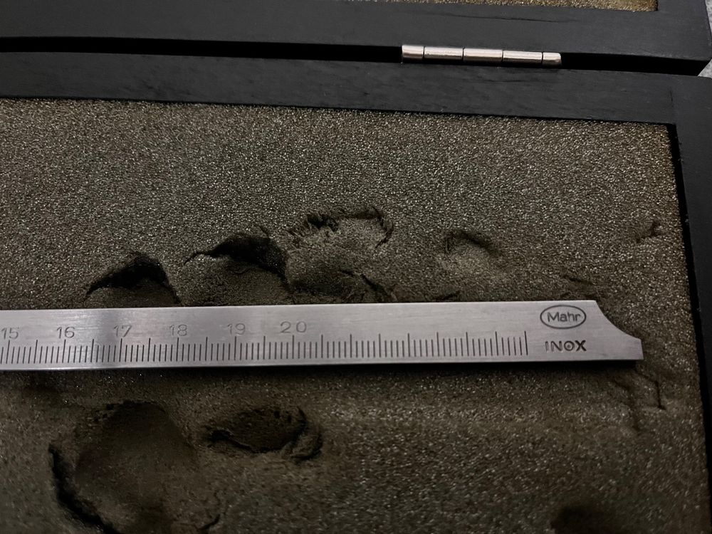 Analog Tiefenmessschieber / Lehre Inox MAHR ab 1.- (Gebraucht) in ...