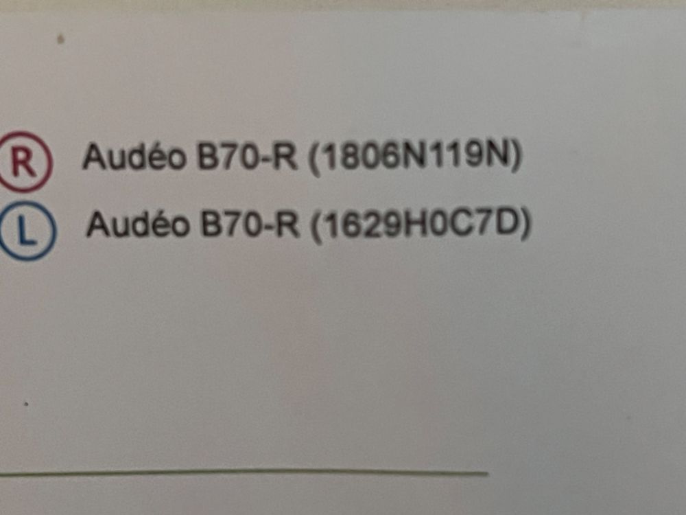 Phonak Audéo B70-R - Akku (Gebraucht) in Windisch für CHF 250 – mit Lieferung auf Ricardo kaufen