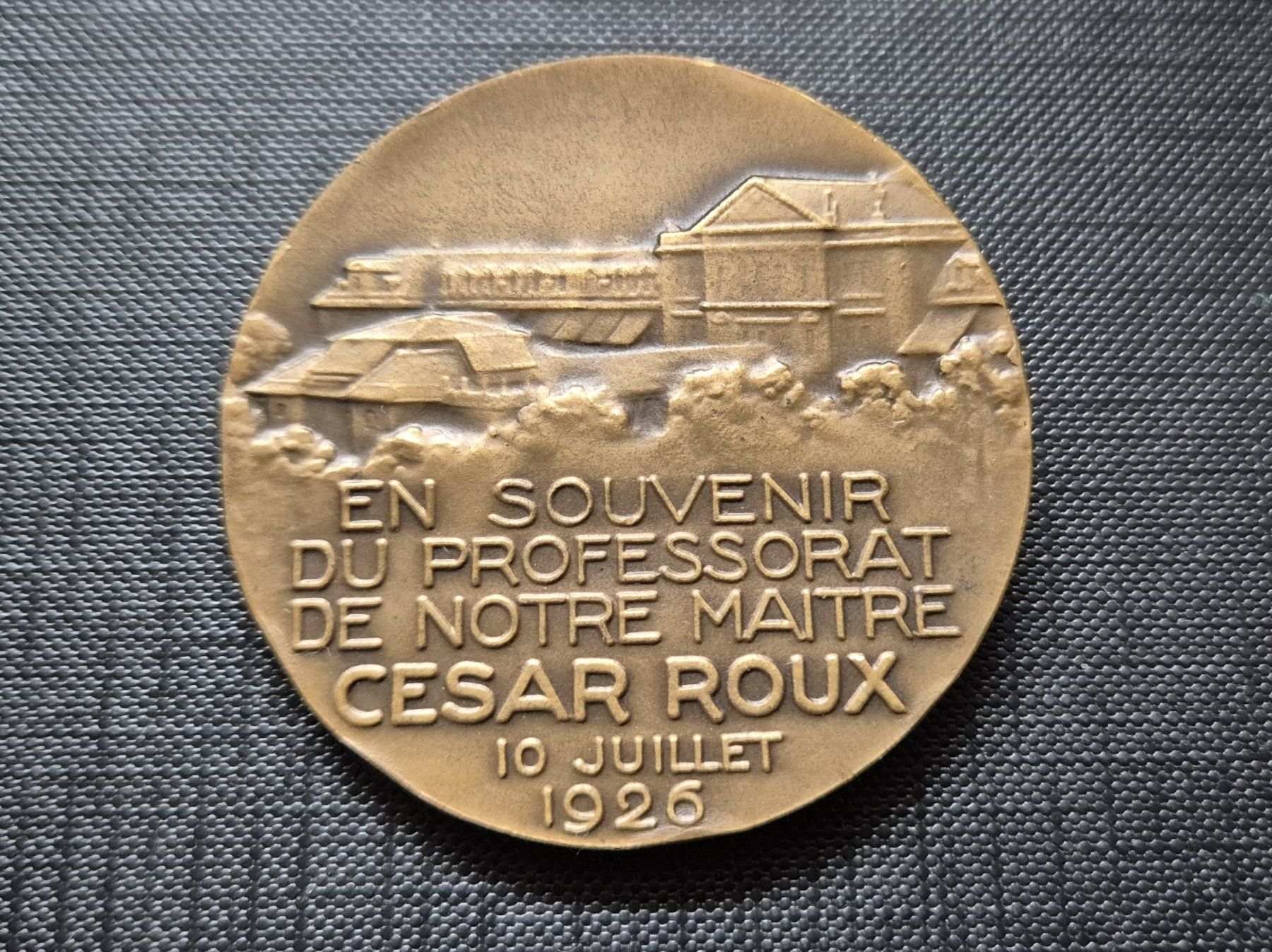 Professor César Roux 1926 (Waadt/Vaud) (Gebraucht) in Zürich für CHF 31 ...