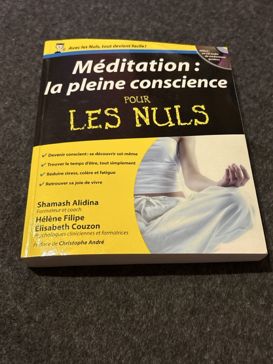 Livre: Méditation pleine conscience pour les nuls, CD 55 (D'occasion) à ...