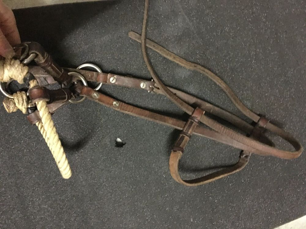 Bosal Zaum | Kaufen auf Ricardo