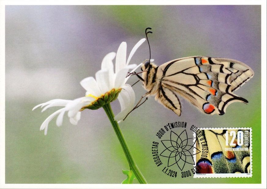 Maximumkarte Naturmuster - Schmetterling | Kaufen auf Ricardo