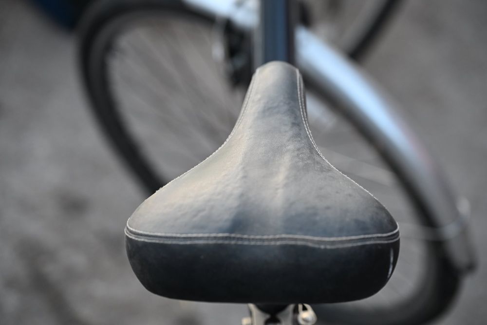 Top Leopard City Bike, Shimano Gangschaltung, Super Zustand (Gebraucht ...