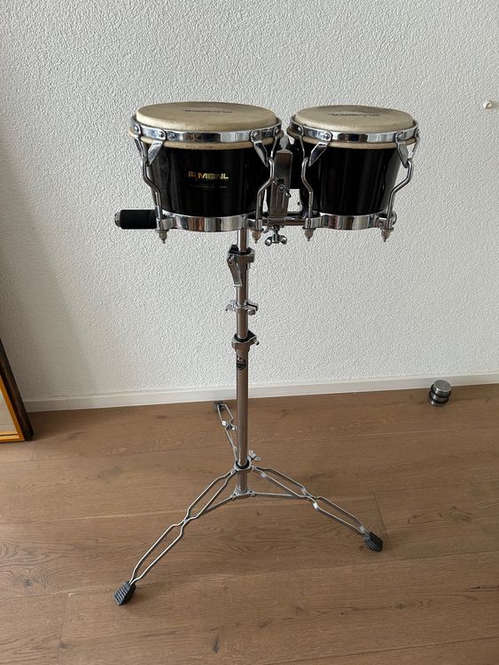 BONGO Roland MEINDL mit Ständer Professional (Gebraucht) in Rheineck ...