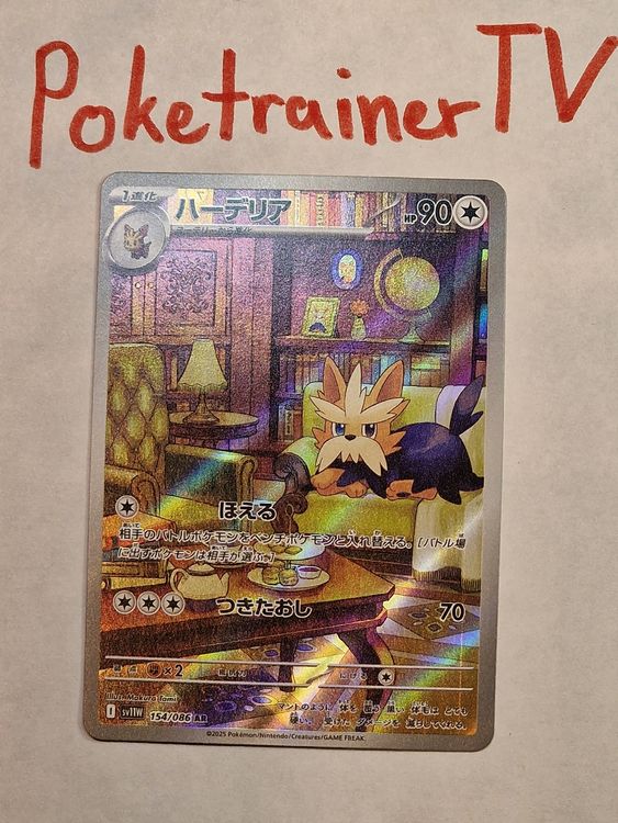 Herdier AR 154/086 SV11W | Japanisch | Art Rare (Neu (gemäss ...