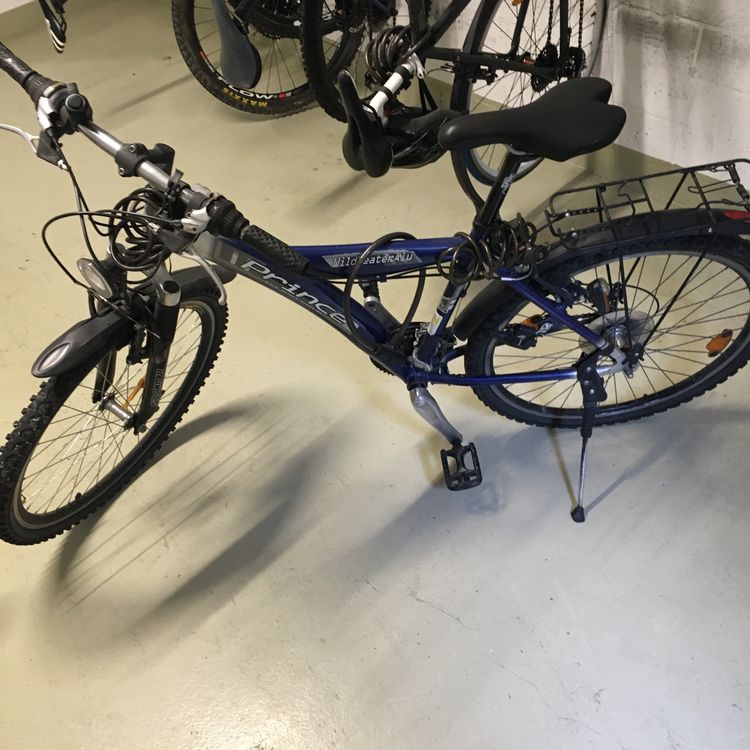 MTB Prince Wild Heater | Kaufen auf Ricardo