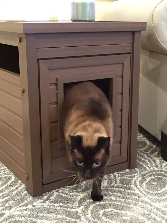 Luxus Katzentoilette Katzenklo - Braun | Kaufen auf Ricardo
