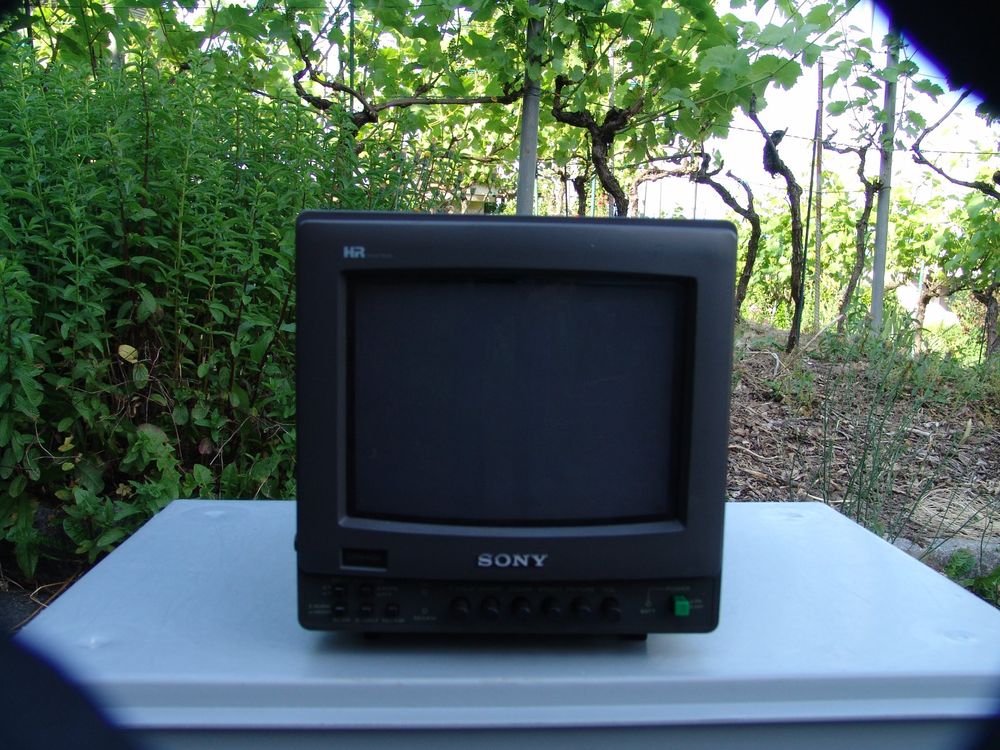 Monitor Sony (Defekt) in für CHF 20 – nur Abholung auf Ricardo kaufen