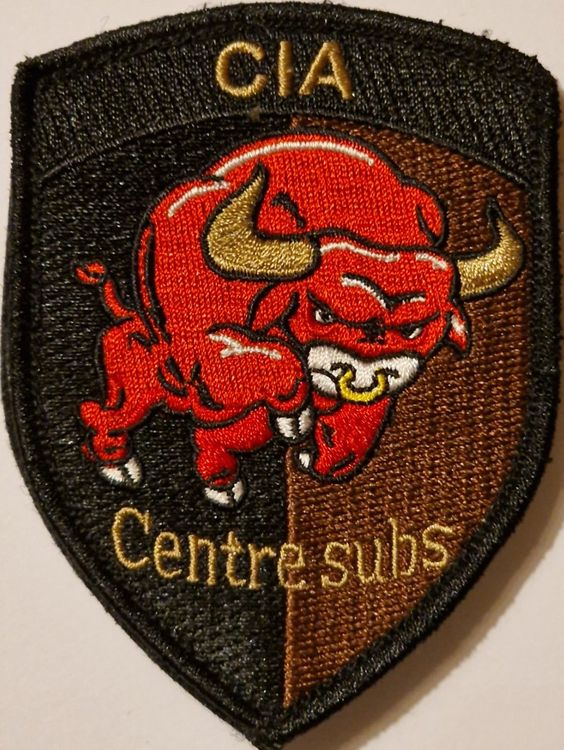 Artillerie Abzeichen Badge CIA Cen Subsistance Bière Klett (Neu (gemäss ...