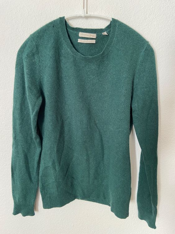 Pullover Christian Berg 100% CACHEMIRE - klein defekt (Gebraucht) in Cully für CHF 10 – mit ...