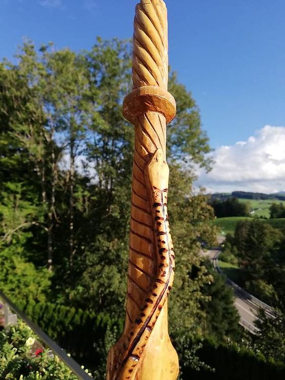 Wanderstock (Gebraucht) in Strengelbach für CHF 30 – nur Abholung auf Ricardo kaufen