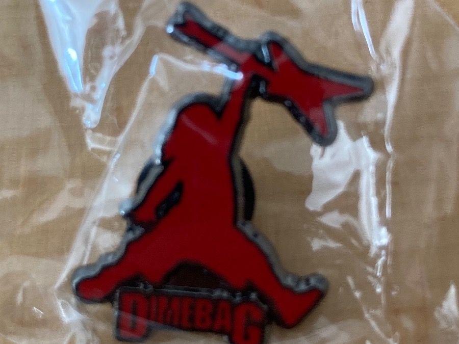Pantera - Dimebag Darrell Pin Anstecker Punk Rock Metal Pop (Neu ...