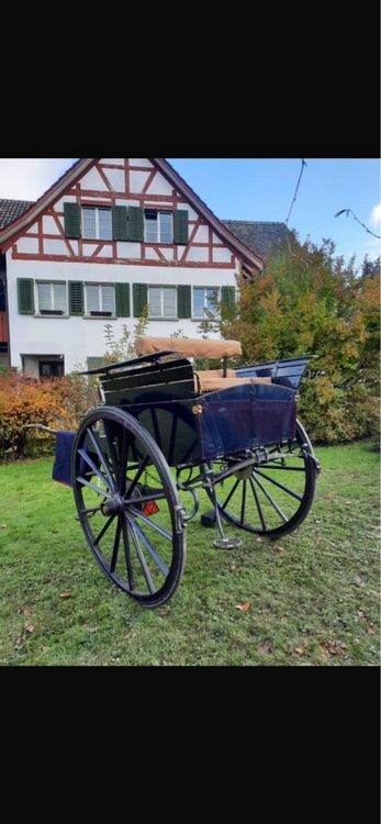 Kutsche (Gebraucht) in Stadel für CHF 1500 – nur Abholung auf Ricardo ...