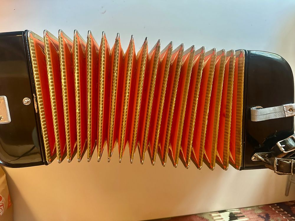 Hohner Handorgel „Norm III De Luxe“ – mit Koffer – vintage (Gebraucht ...