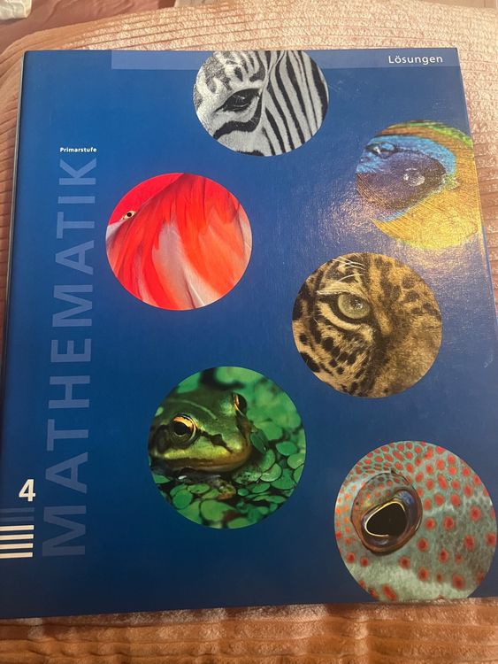 Mathematik 4 Klasse (Gebraucht) in Buchs ZH für CHF 24 – mit Lieferung ...