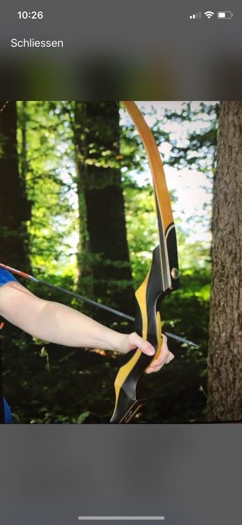 Stegmeyer Recurve Holz Bogen | Kaufen auf Ricardo