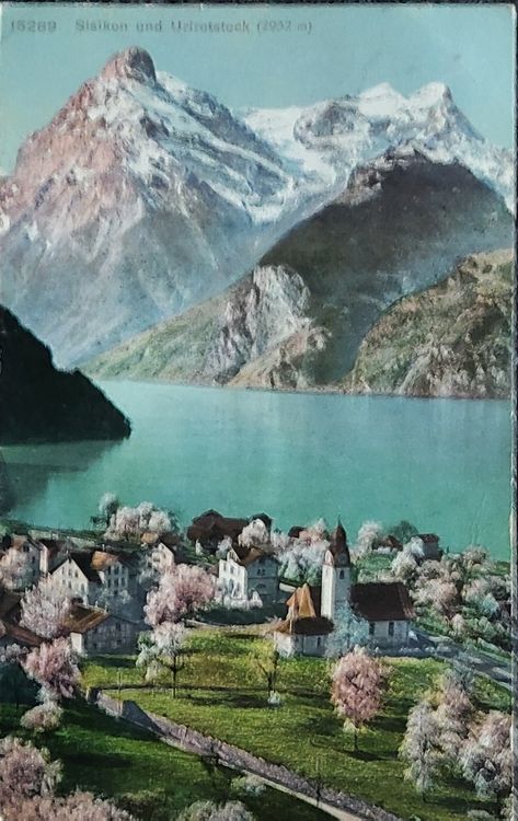 Alte Postkarte, Grüsse aus Sisikon & Urirotstock (Gebraucht) in Siebnen für CHF 3.5 – mit ...