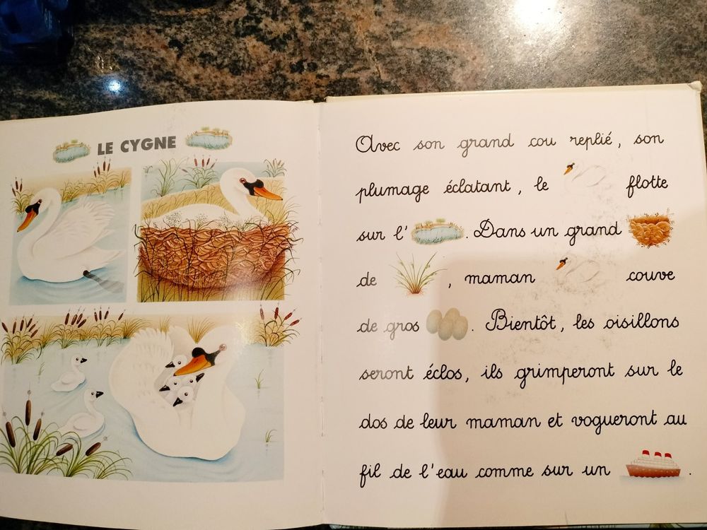 Je lis avec les animaux du bord de l'eau Yvette Barbetti (D'occasion) à ...