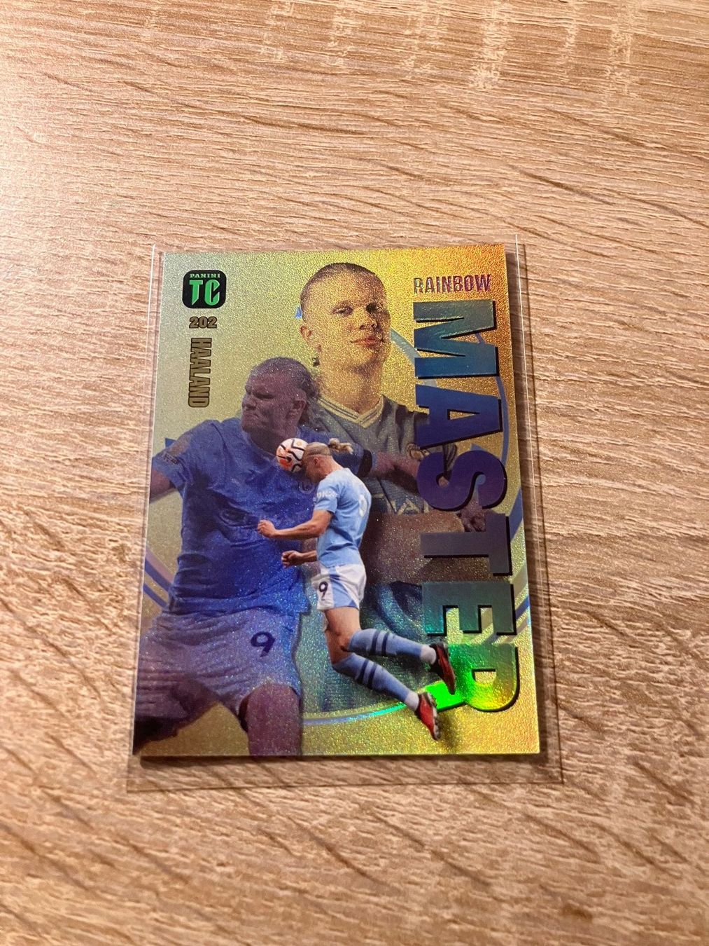 Panini Top Class 2024 Haaland Man City Rainbow Master (Neu (gemäss ...