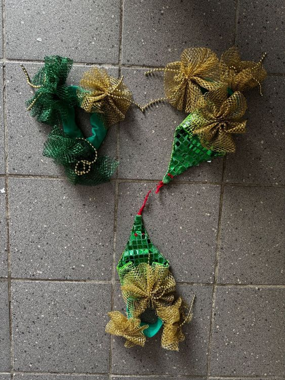 Fasnachtskostüm Motto Wald Efeu (Gebraucht) in Oberbuchsiten für CHF 1 ...