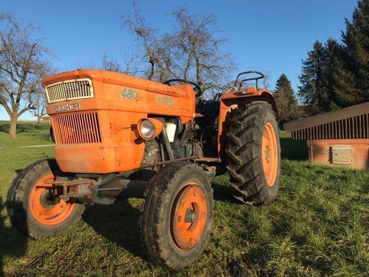 Fiat 480 | Kaufen auf Ricardo